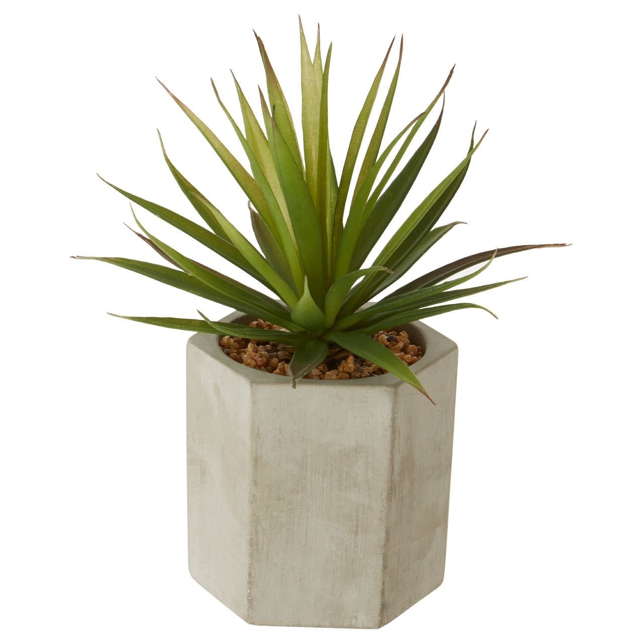 Fiori Sword Grass Plant – IVY Living and Lifestyle